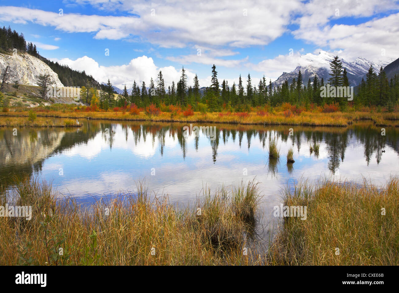 Charming small lake Stock Photo - Alamy