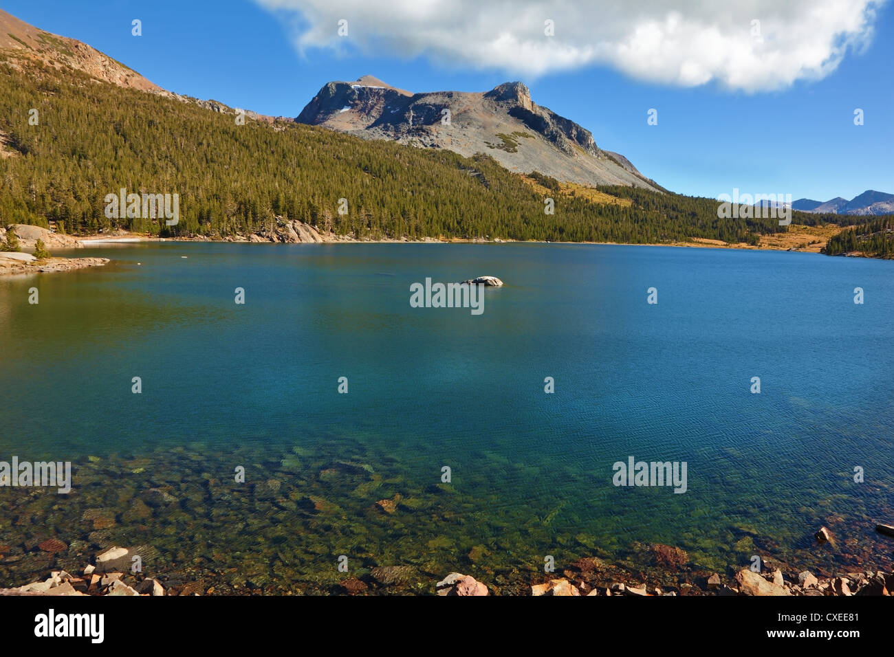 Shallow lake in rocky hi-res stock photography and images - Alamy