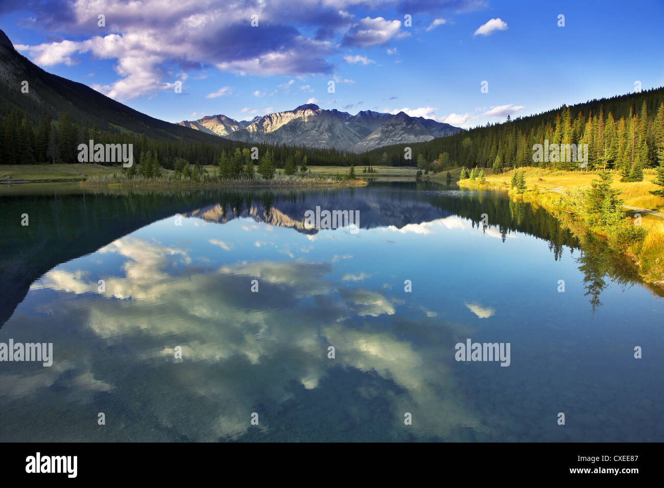 Serene silence hi-res stock photography and images - Alamy
