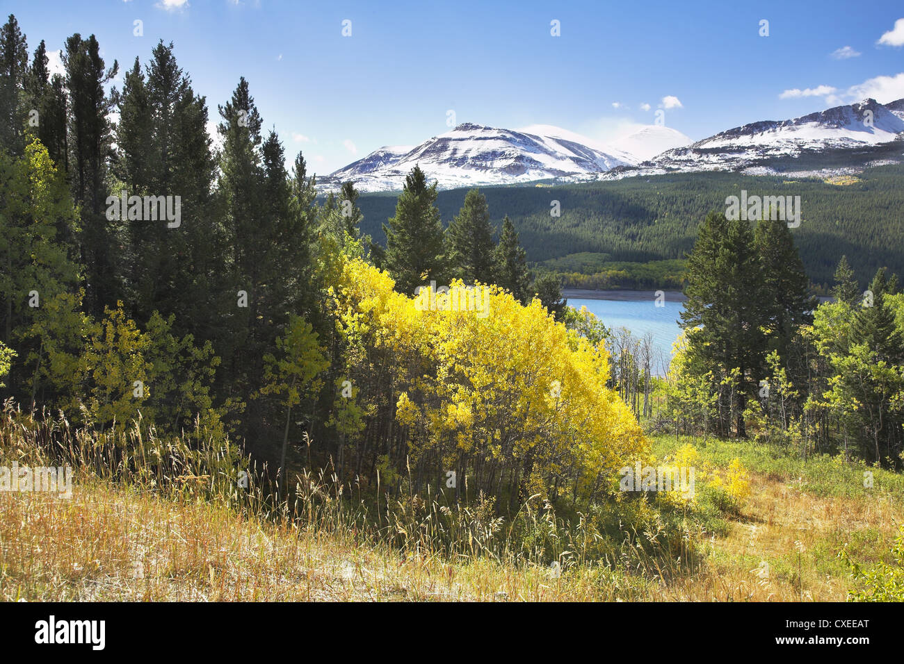 Turned yellow hi-res stock photography and images - Alamy