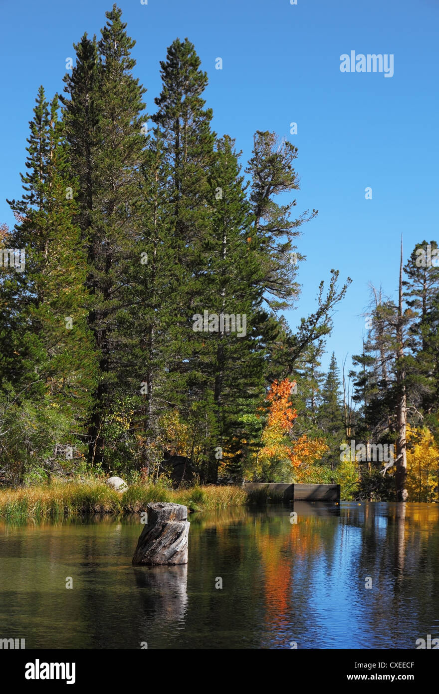 Charming california hi-res stock photography and images - Alamy