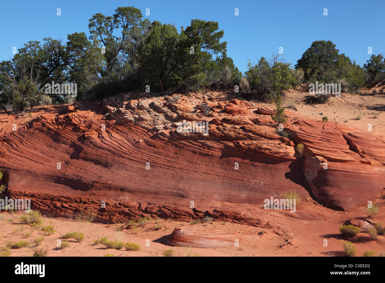 Ravine desert hi-res stock photography and images - Alamy
