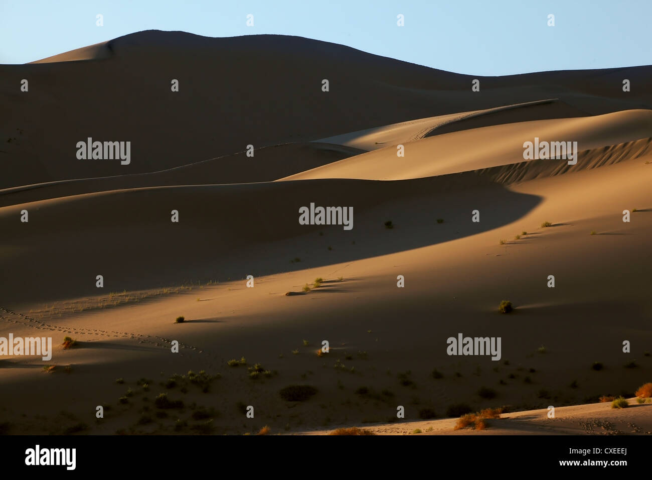 Gentle morning shadows Stock Photo - Alamy