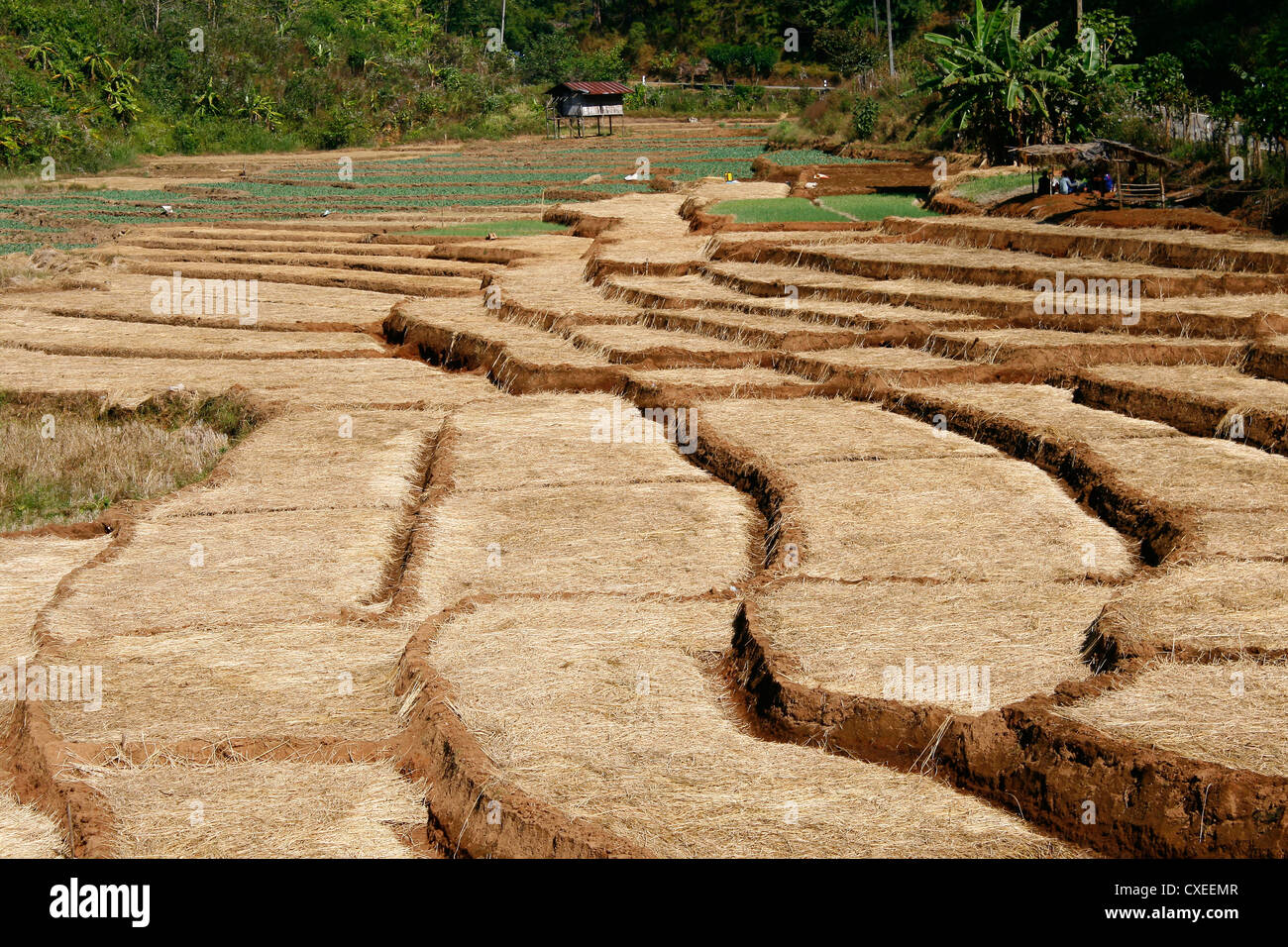 Farm with field hi-res stock photography and images - Alamy