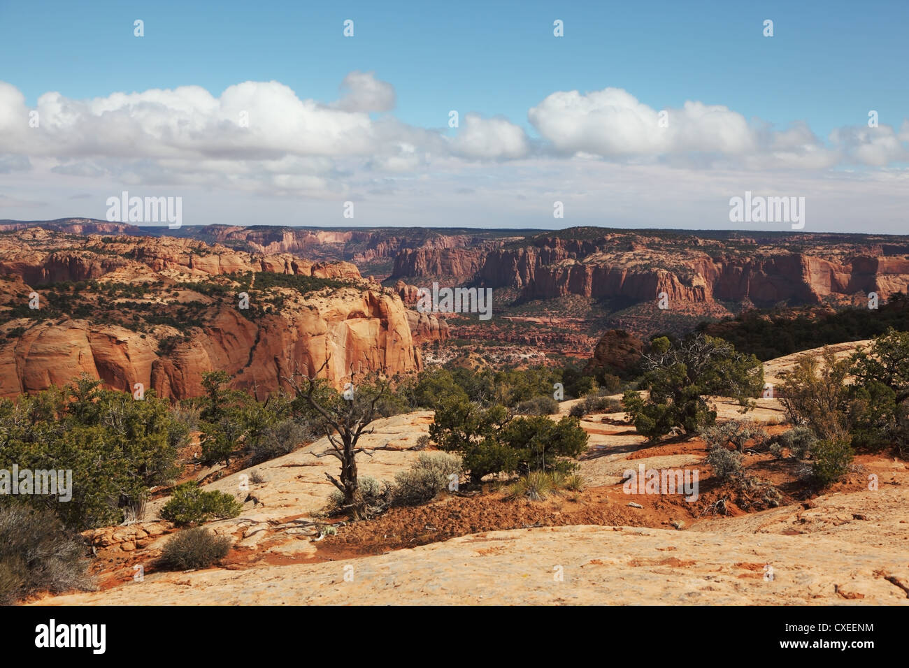 The red sandstone canyon Stock Photo - Alamy