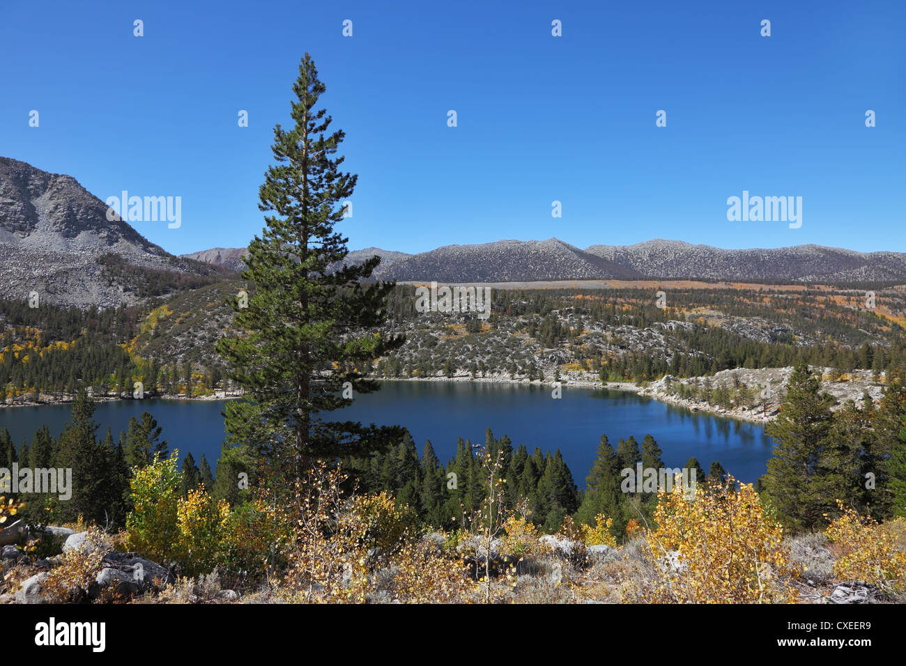 A turquoise water Stock Photo - Alamy
