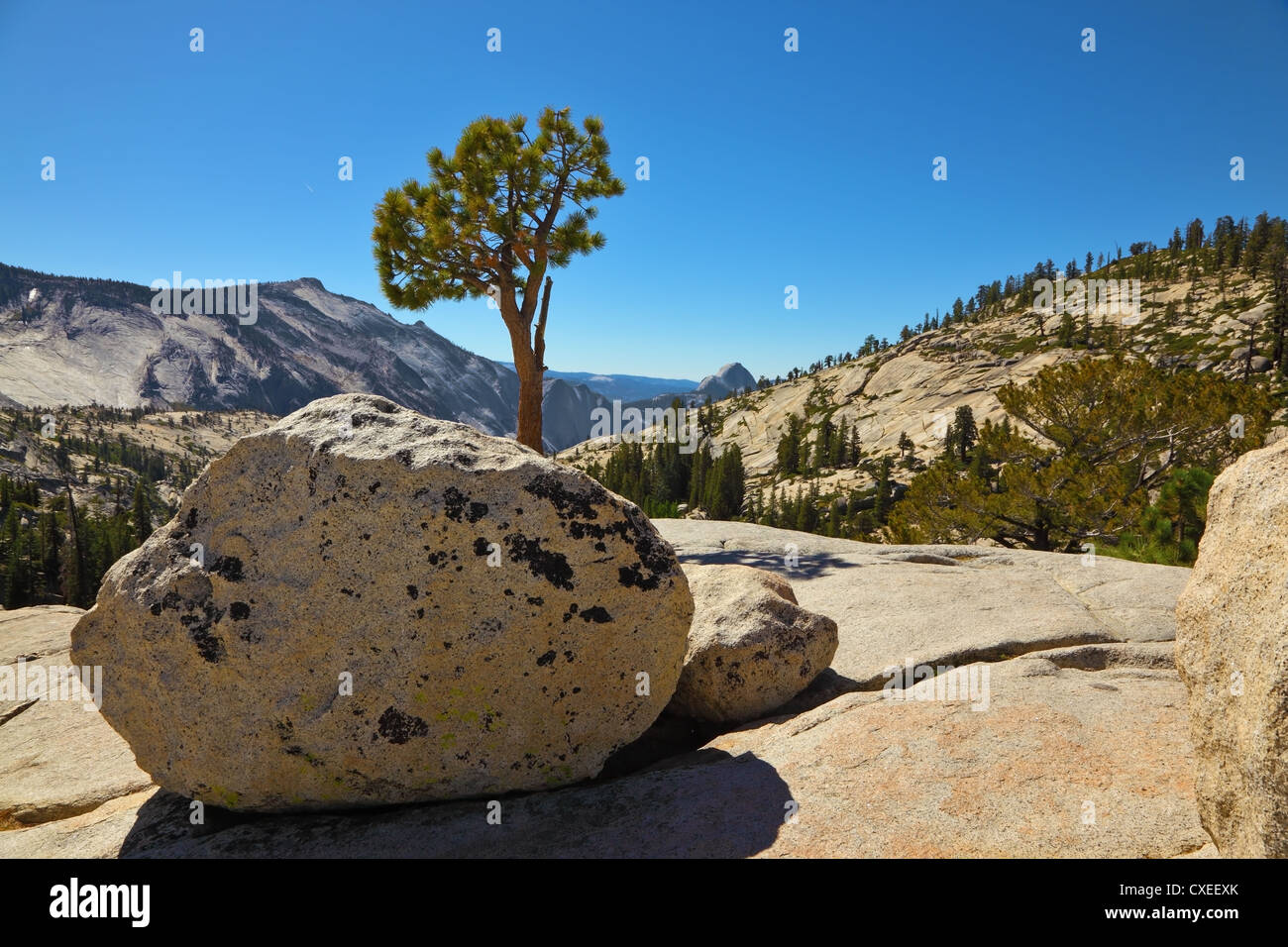 A magnificent mountain panorama Yosemite Stock Photo - Alamy
