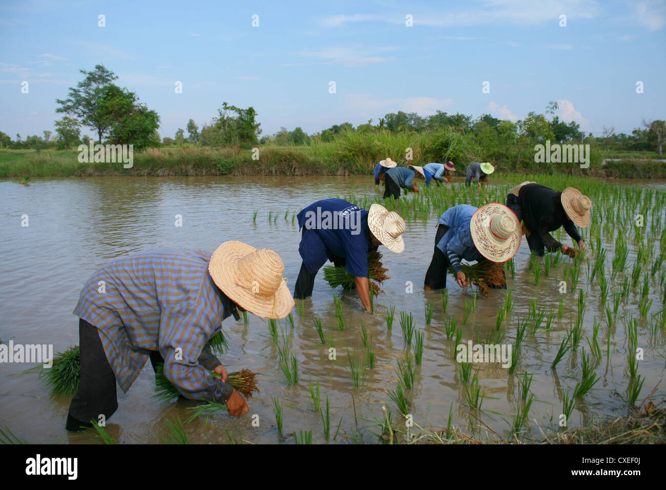 Farmers land hi-res stock photography and images - Alamy