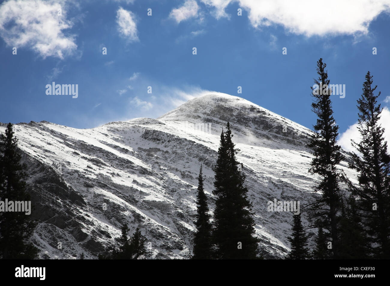 Strong wind in snow mountains Stock Photo - Alamy