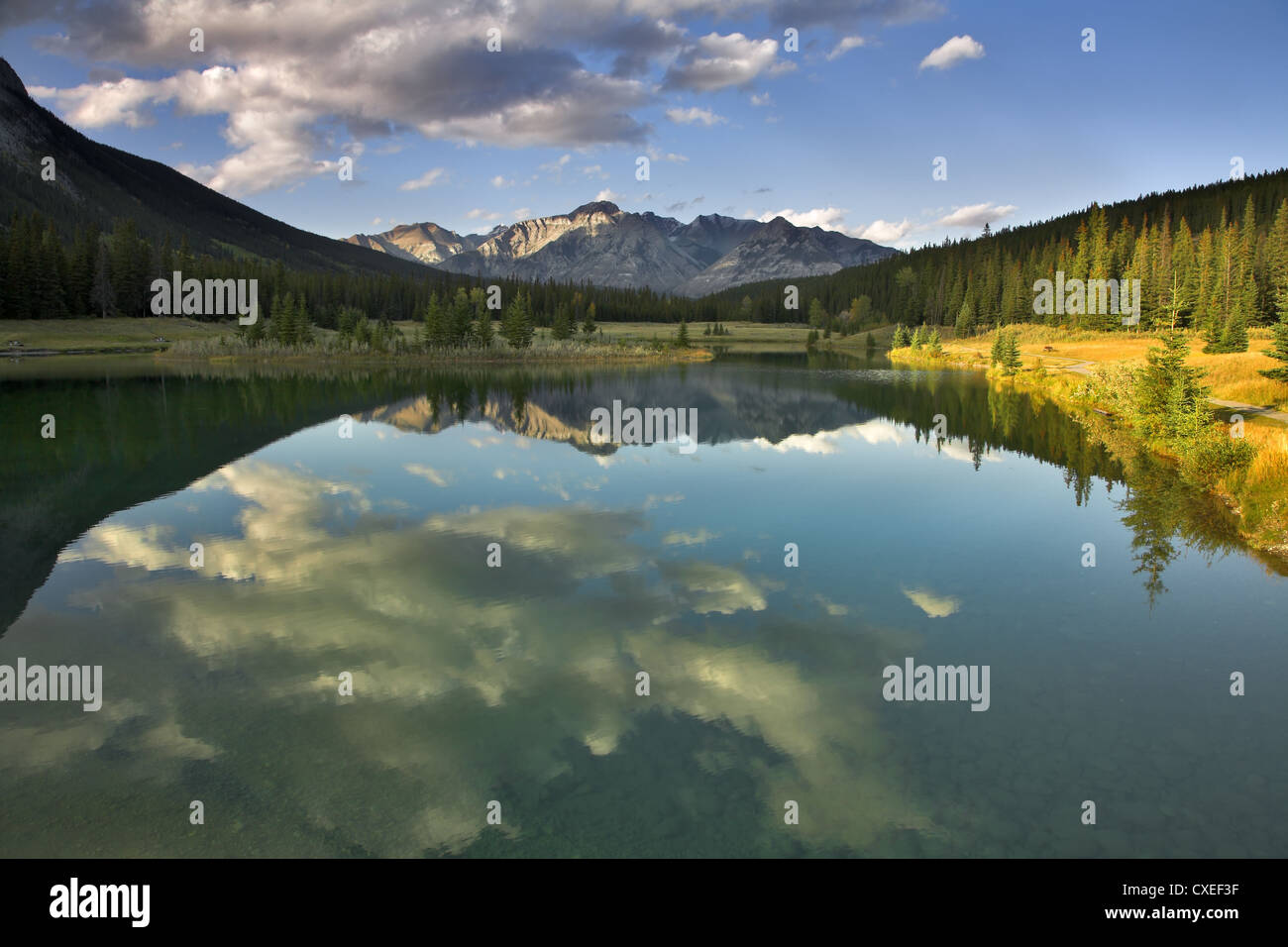 Serene silence hi-res stock photography and images - Alamy