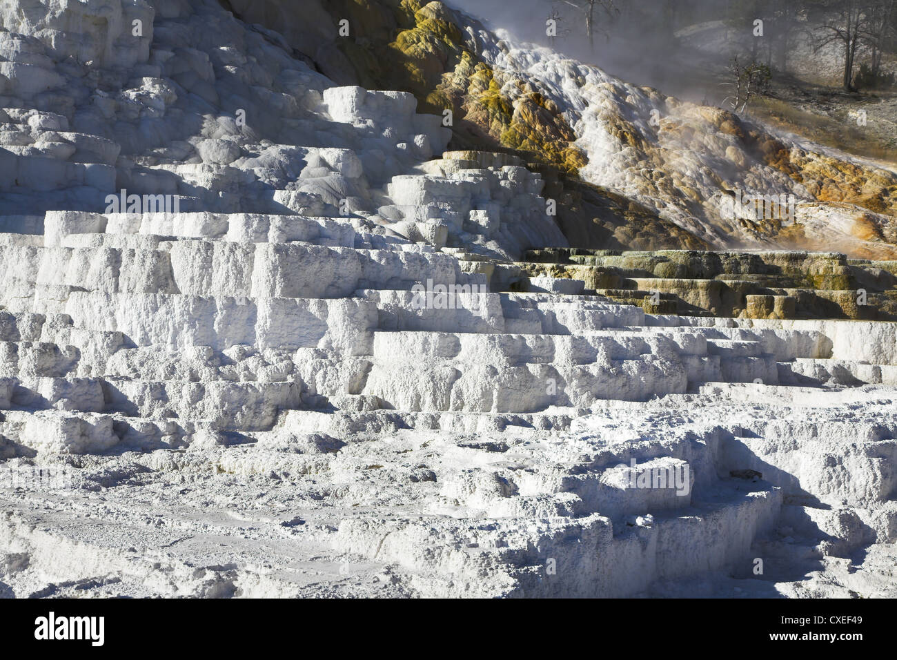 Well-known calcareous formations travertine Stock Photo - Alamy