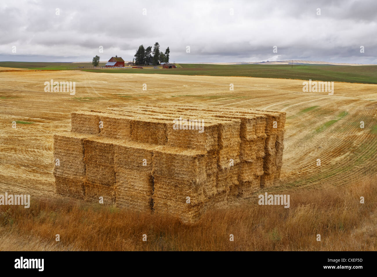 Fields after harvest and stacks Stock Photo - Alamy