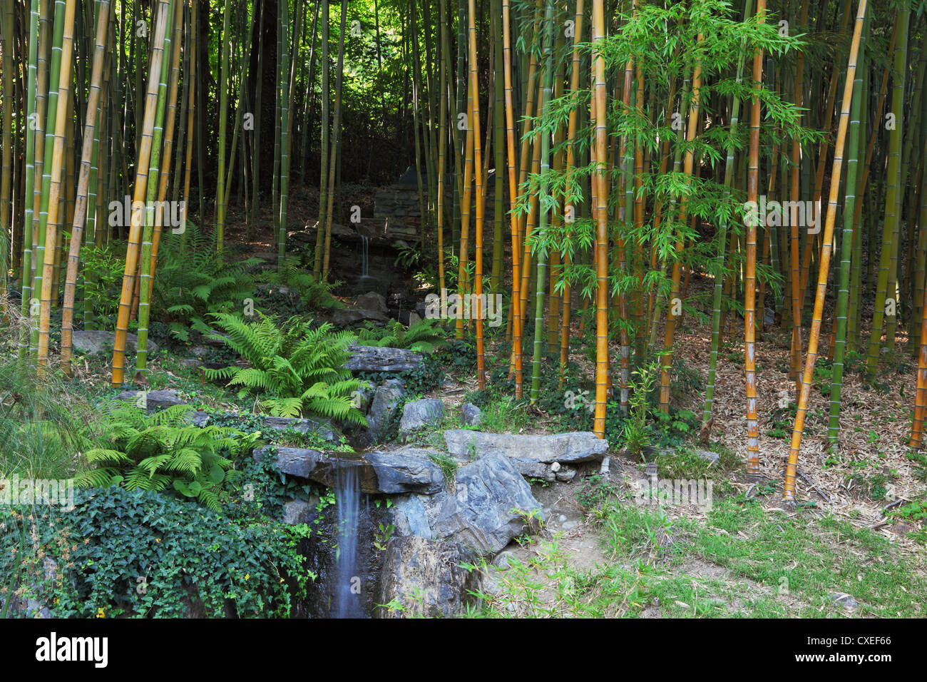 Grove park cascade hi-res stock photography and images - Alamy