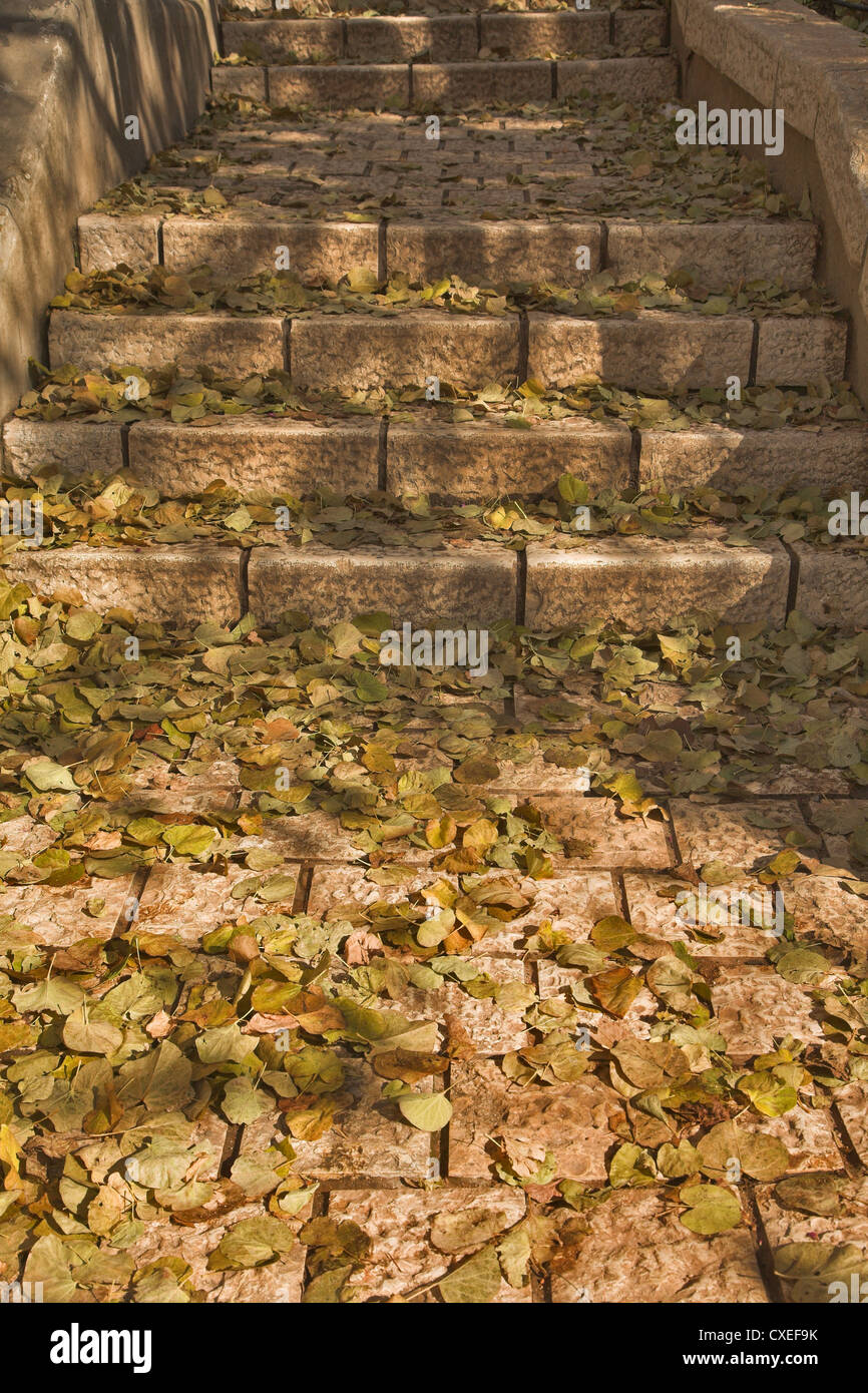 Mellow color hi-res stock photography and images - Alamy