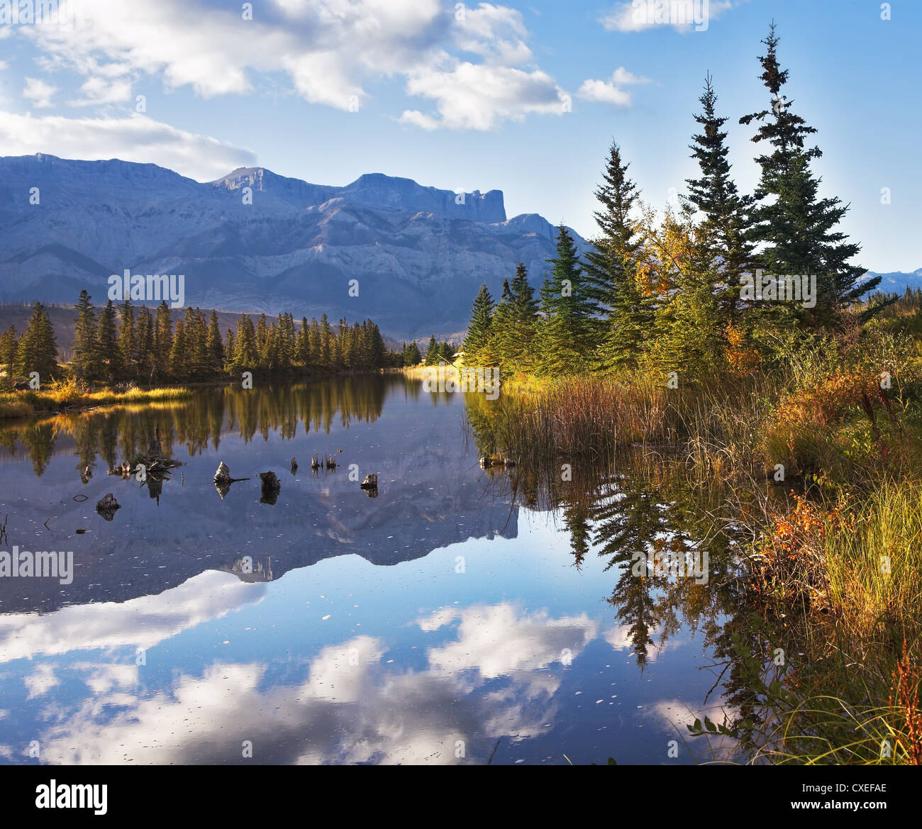 Clouds with trees hi-res stock photography and images - Alamy