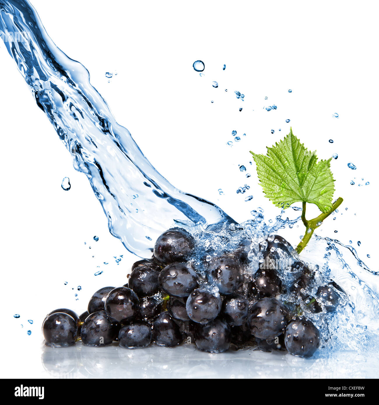 blue grape with water splash isolated on white Stock Photo - Alamy