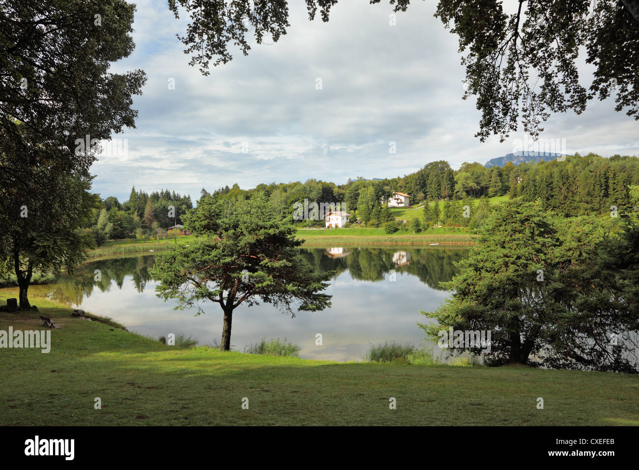 A small lake Stock Photo - Alamy