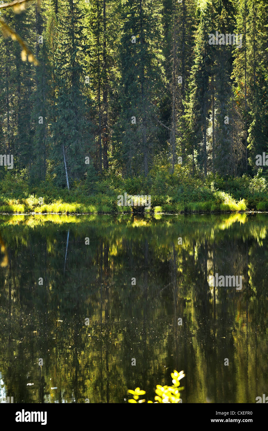 Jungle rivers hi-res stock photography and images - Alamy