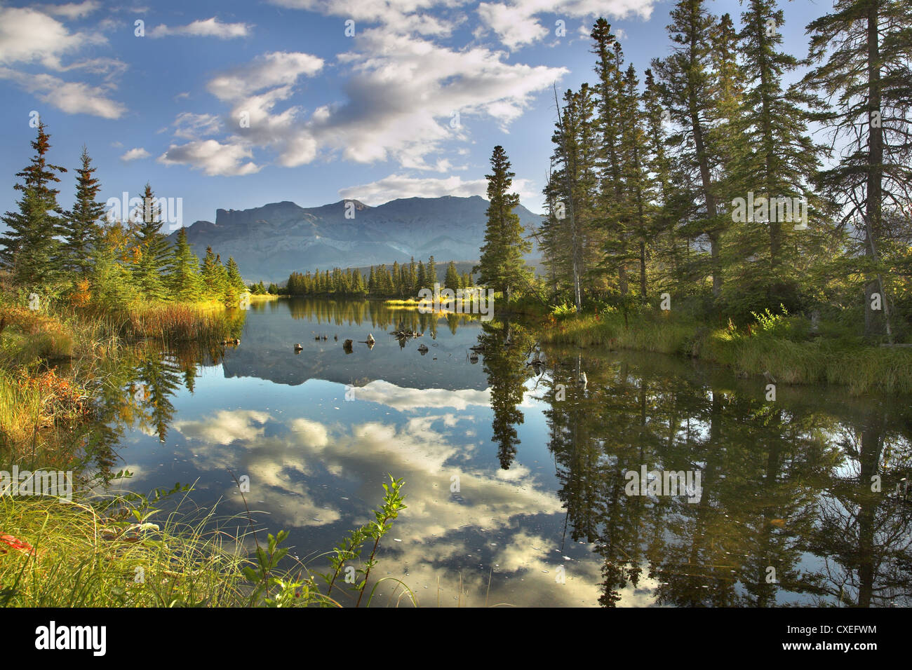Cold morning on national hi-res stock photography and images - Alamy