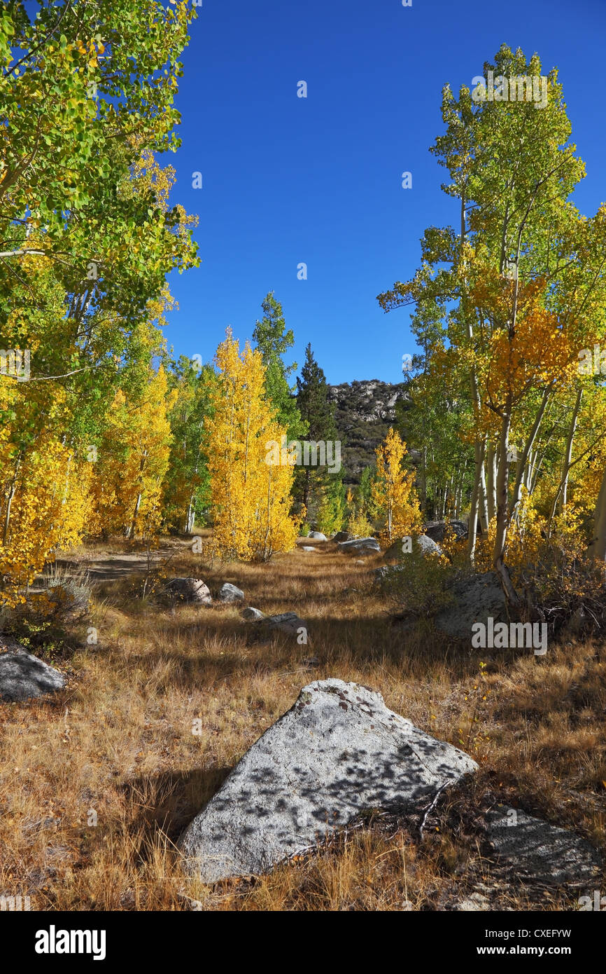 Amazingly beautiful hi-res stock photography and images - Alamy