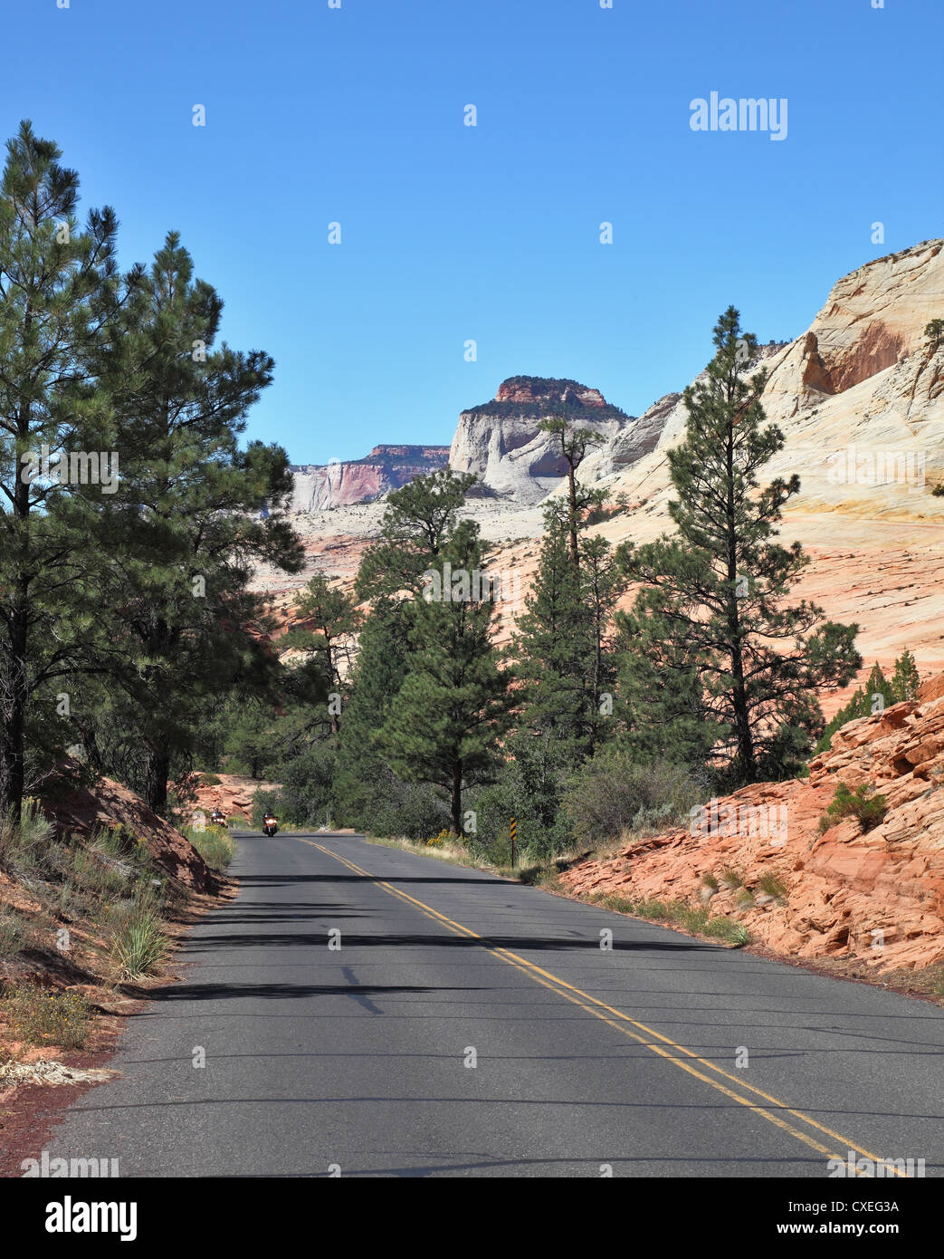 The fine road passes through all park Stock Photo - Alamy