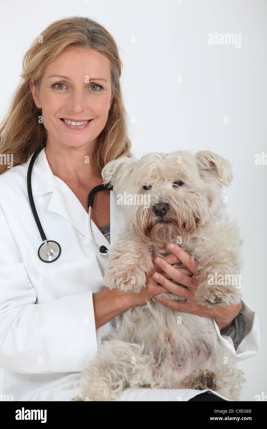 Grubby dog hi-res stock photography and images - Alamy