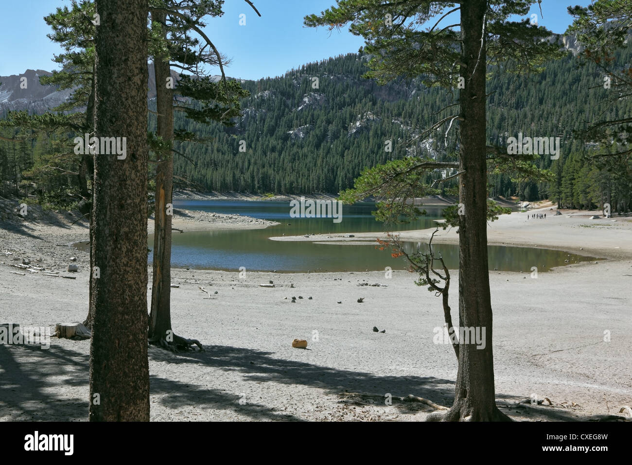 Drying up lake hi-res stock photography and images - Alamy