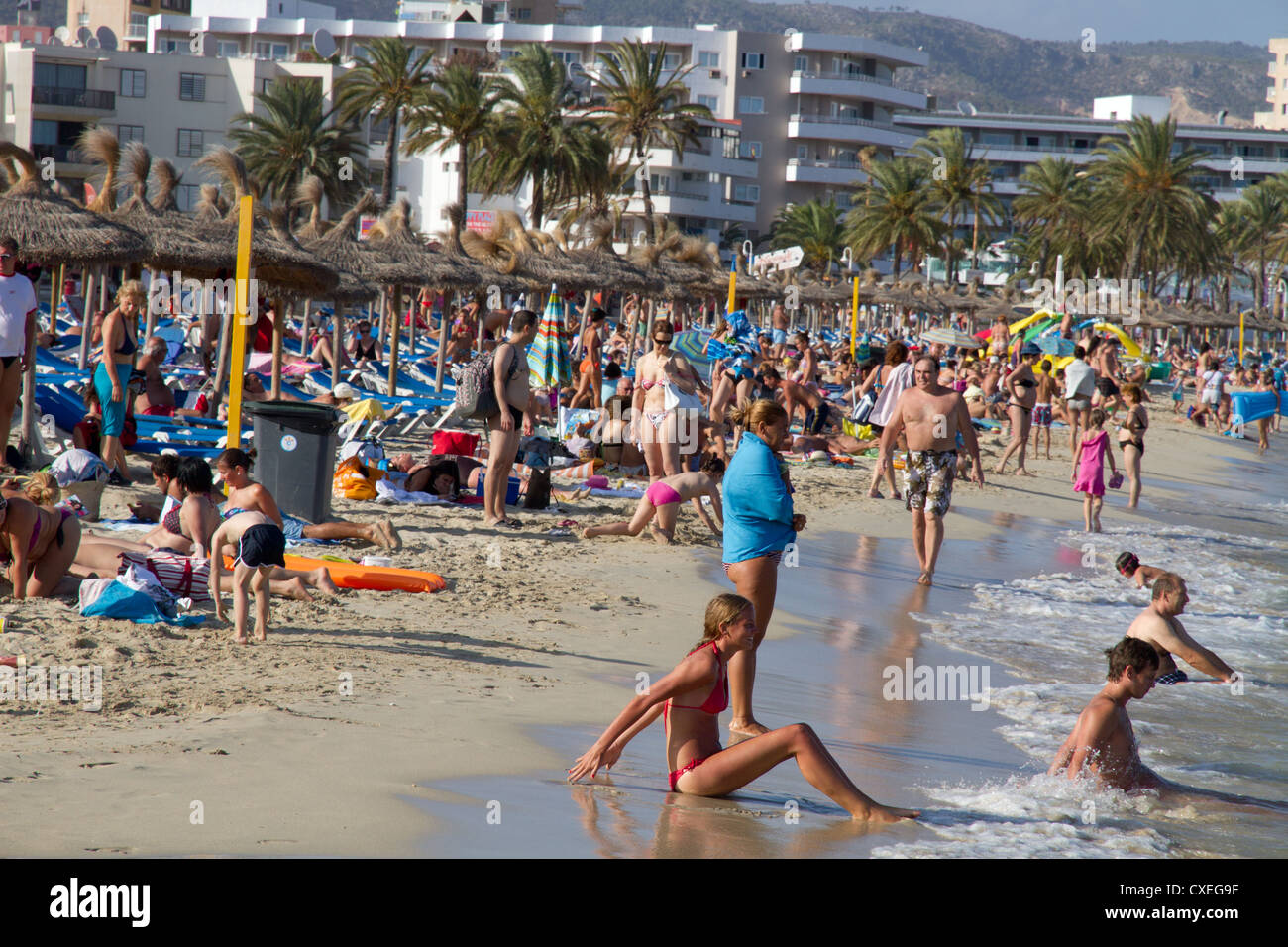 crowded beach of Magaluf Mallorca Balearic Spain Stock Photo - Alamy
