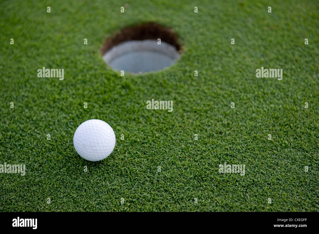a short putt in the game of golf on a putting green with a golf ball ...