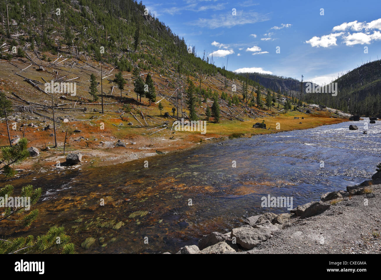 Shallow slow stream with a pebble Stock Photo - Alamy