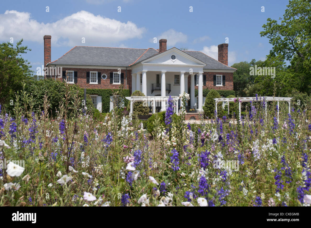 Boone hall plantation hi-res stock photography and images - Alamy