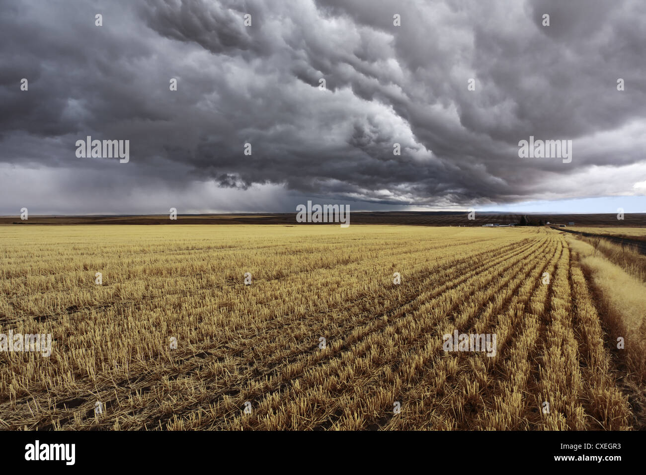 Thunder-storm. Fields after harvest Stock Photo - Alamy