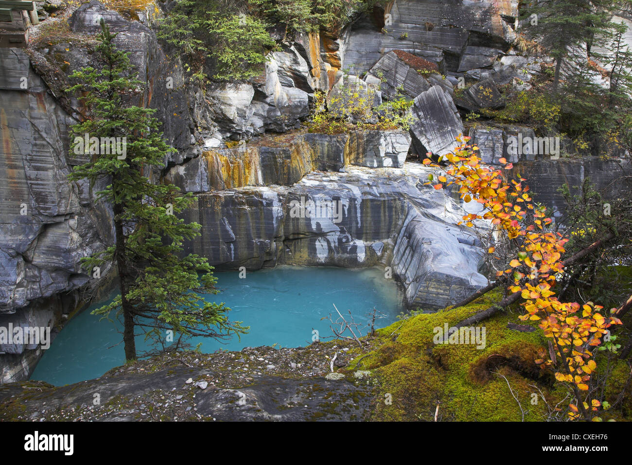 Shiny pond surface hi-res stock photography and images - Alamy