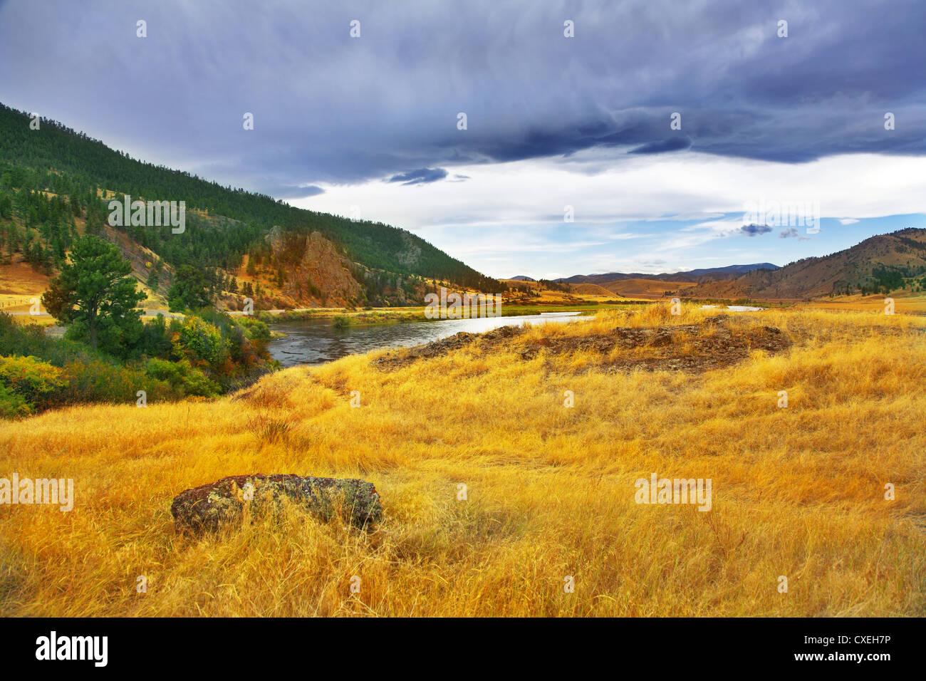 Reed grass meadows hi-res stock photography and images - Alamy