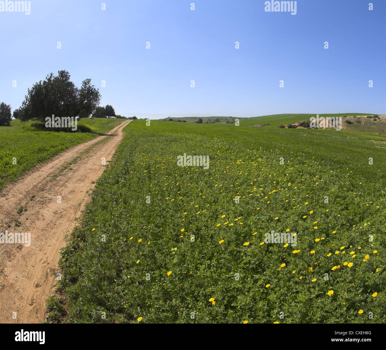 Soil rural road Stock Photo - Alamy