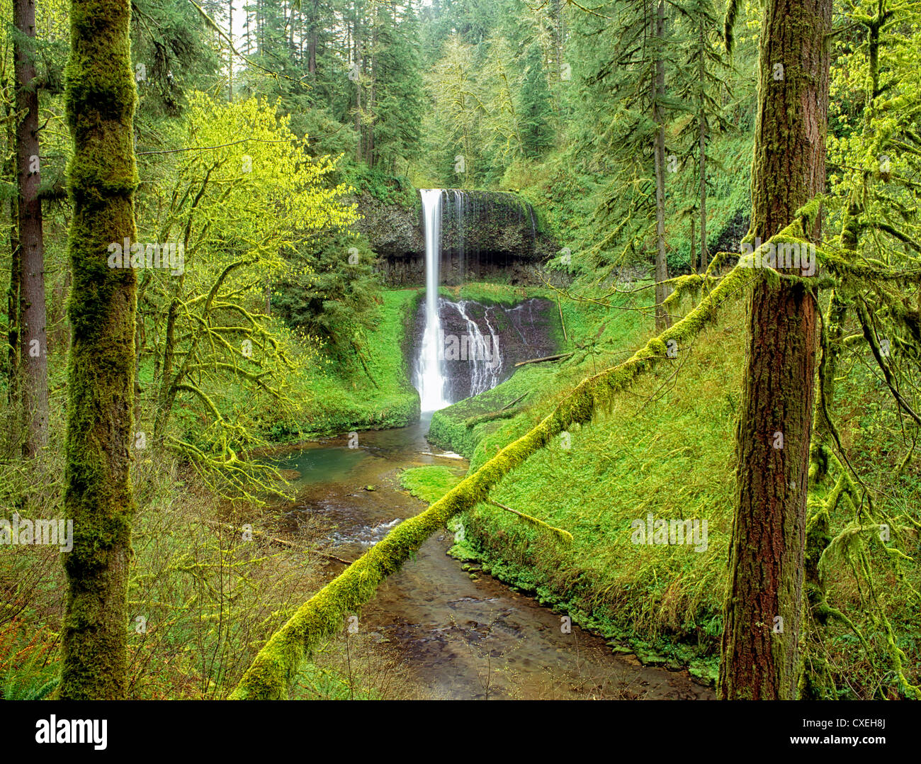Waterfalls in silver falls hi-res stock photography and images - Alamy