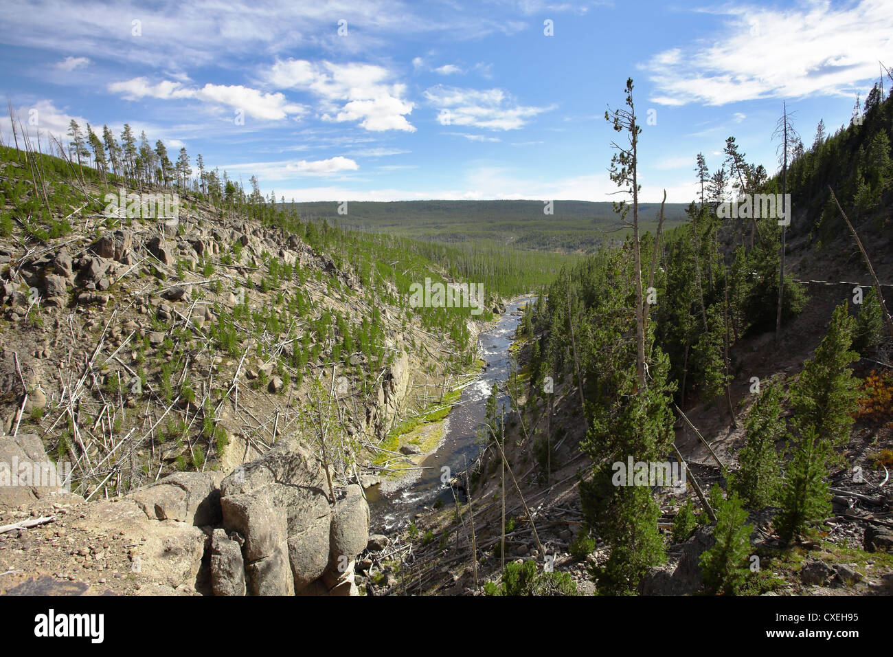 Canyon of river Gibbon Stock Photo - Alamy