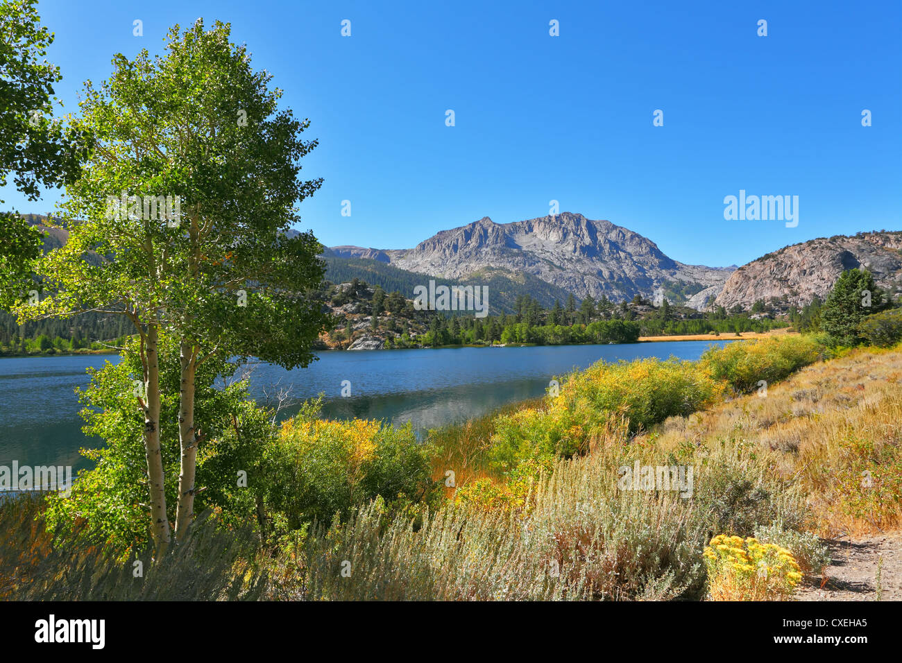Travel across the USA Stock Photo - Alamy