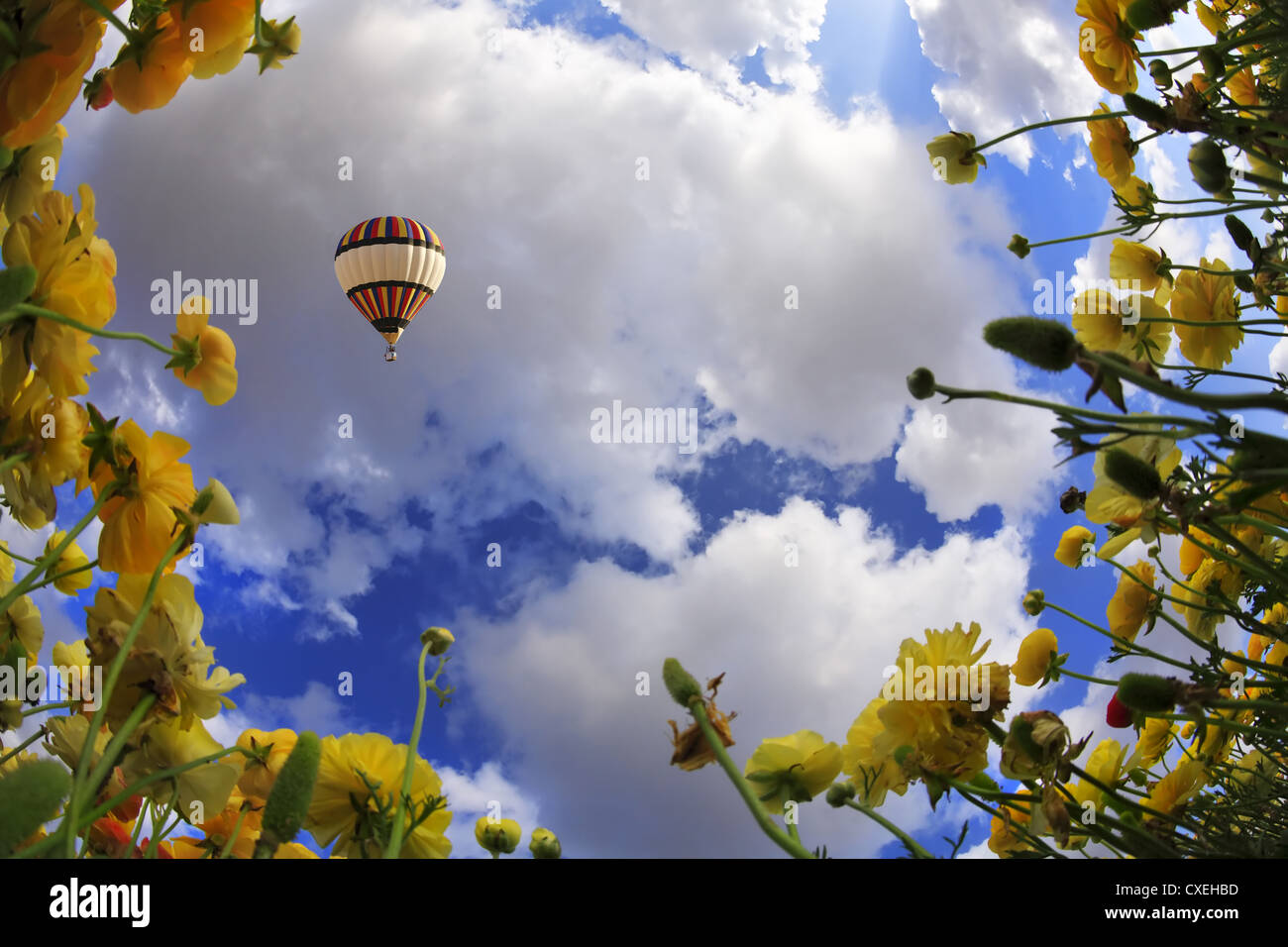 The spring morning Stock Photo - Alamy