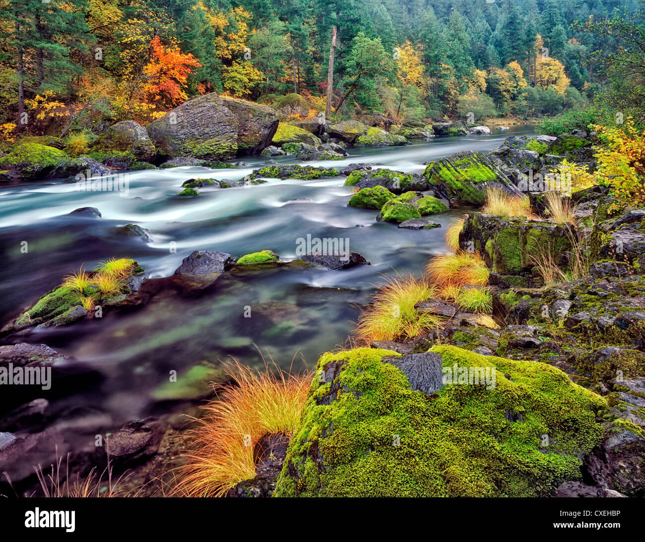 Fall colors along North Fork Umpqua River. Oregon Stock Photo - Alamy