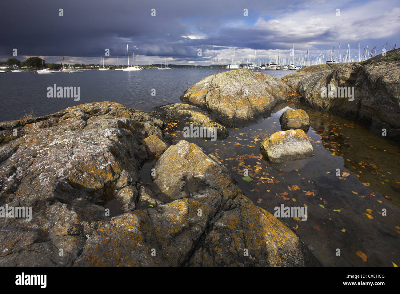 The strong storm comes nearer Stock Photo - Alamy