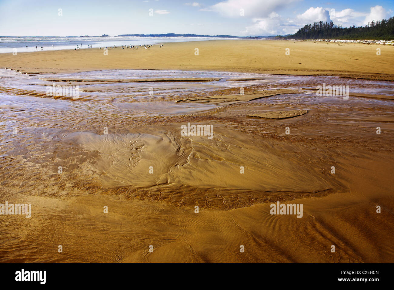 Huge sandy ocean beach Stock Photo - Alamy
