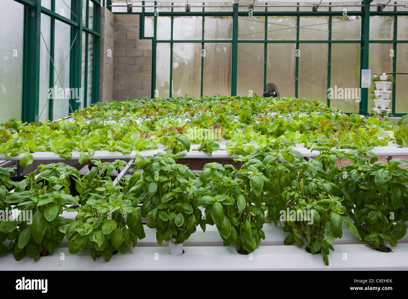 Hospital greenhouse hi-res stock photography and images - Alamy