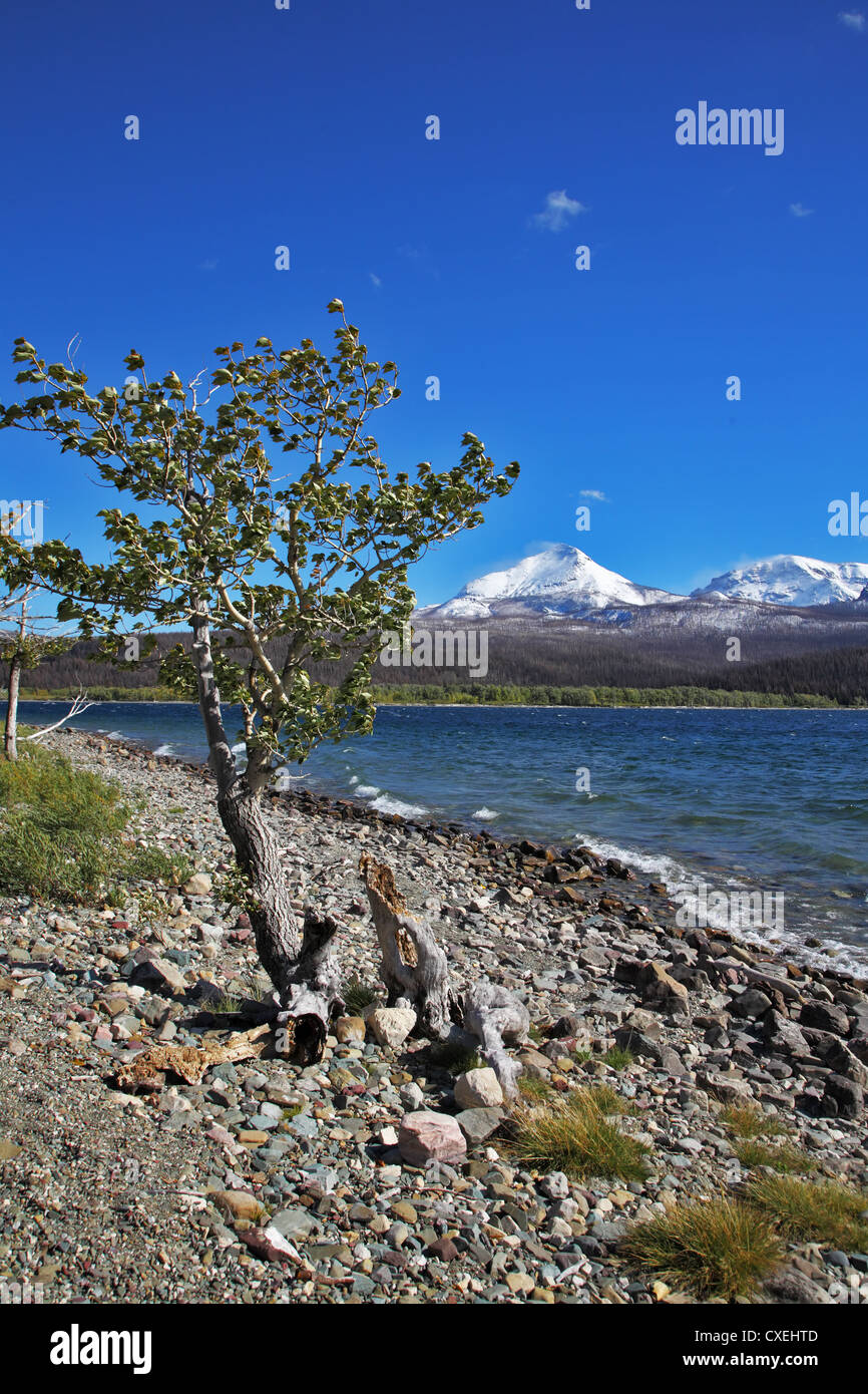 Canada cold weather hi-res stock photography and images - Alamy