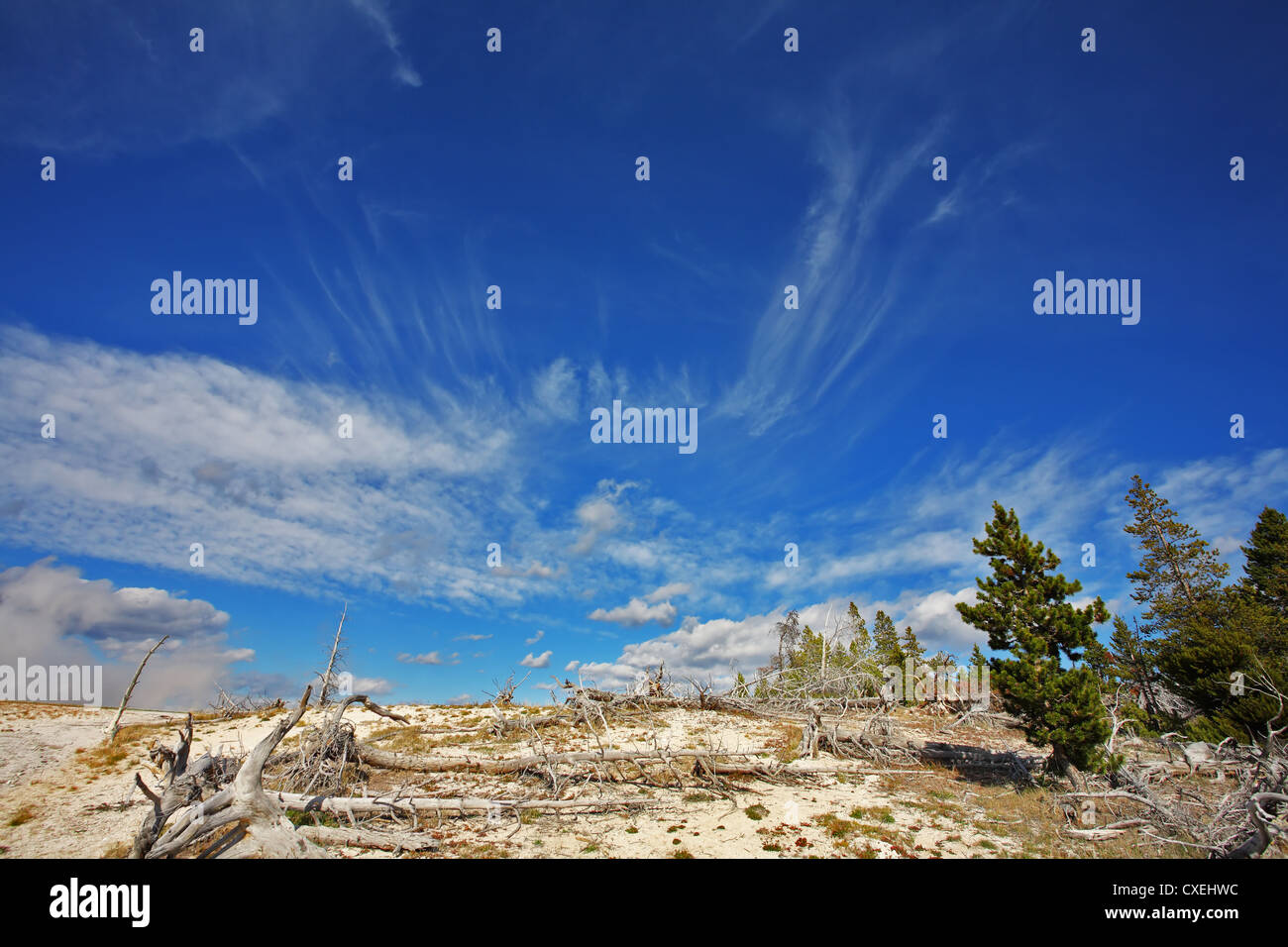 The blue sky above Yellowstone national park Stock Photo - Alamy