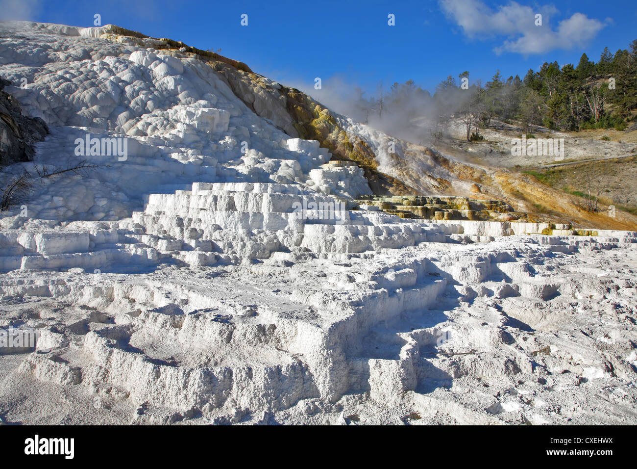 The travertine in Yellowstone Stock Photo - Alamy