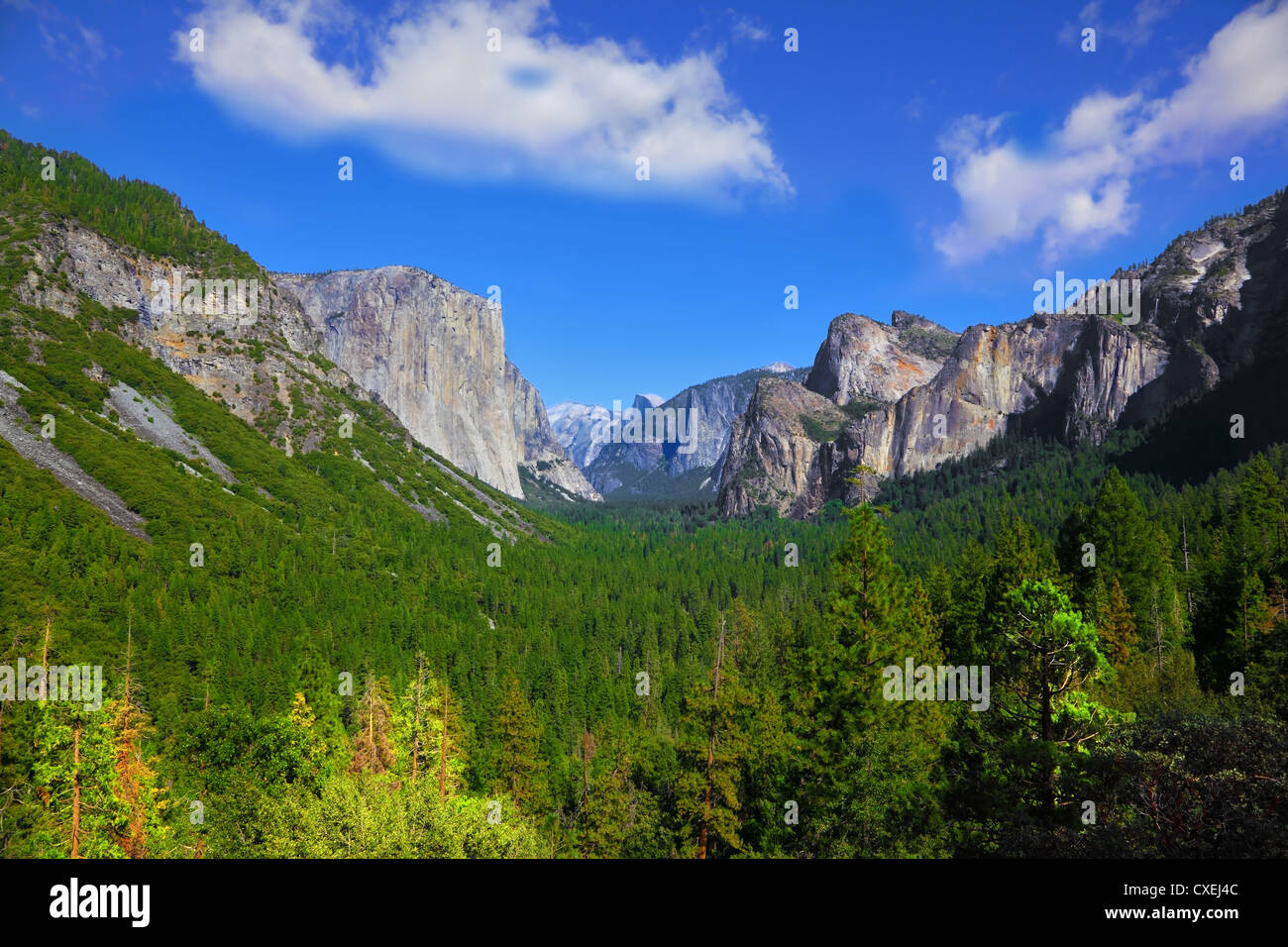 Panorama park hi-res stock photography and images - Alamy