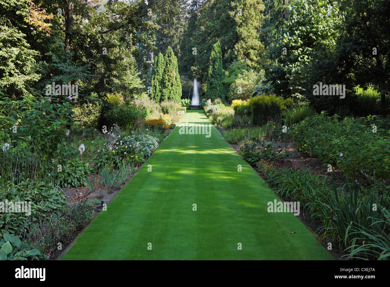 Green grass road Stock Photo - Alamy