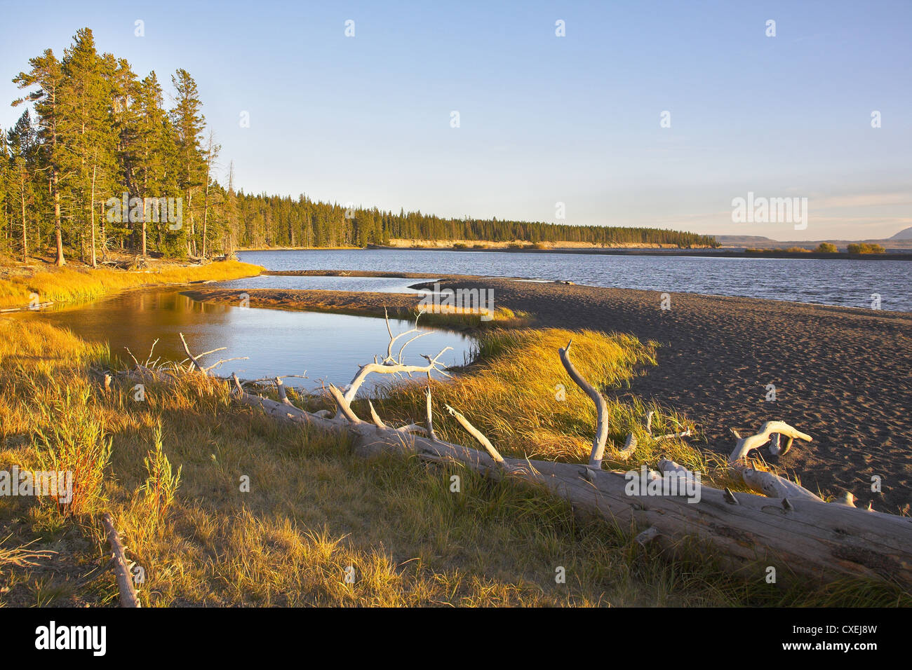 Flat on grass hi-res stock photography and images - Alamy