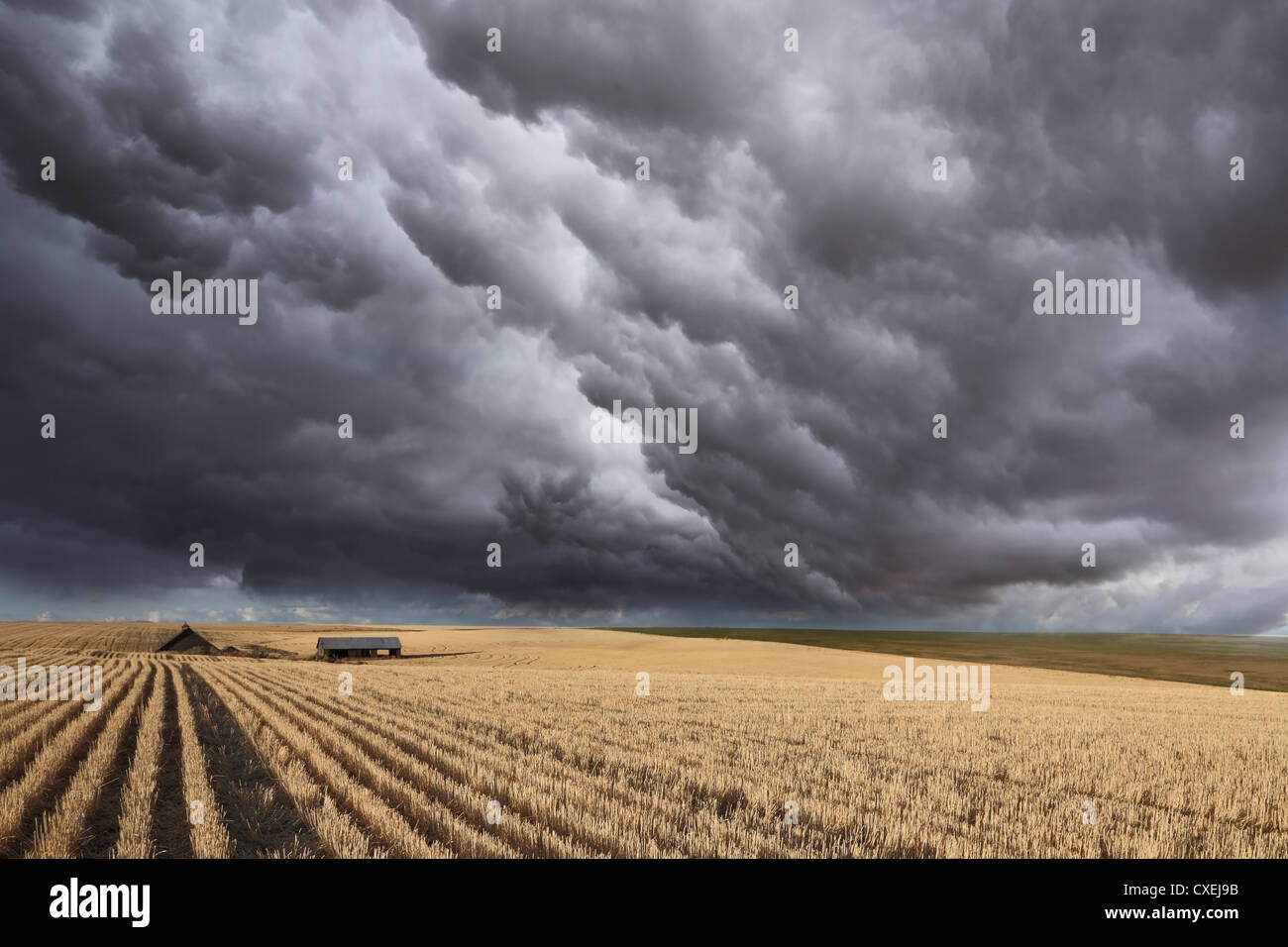 Thundercloud silhouette hi-res stock photography and images - Alamy